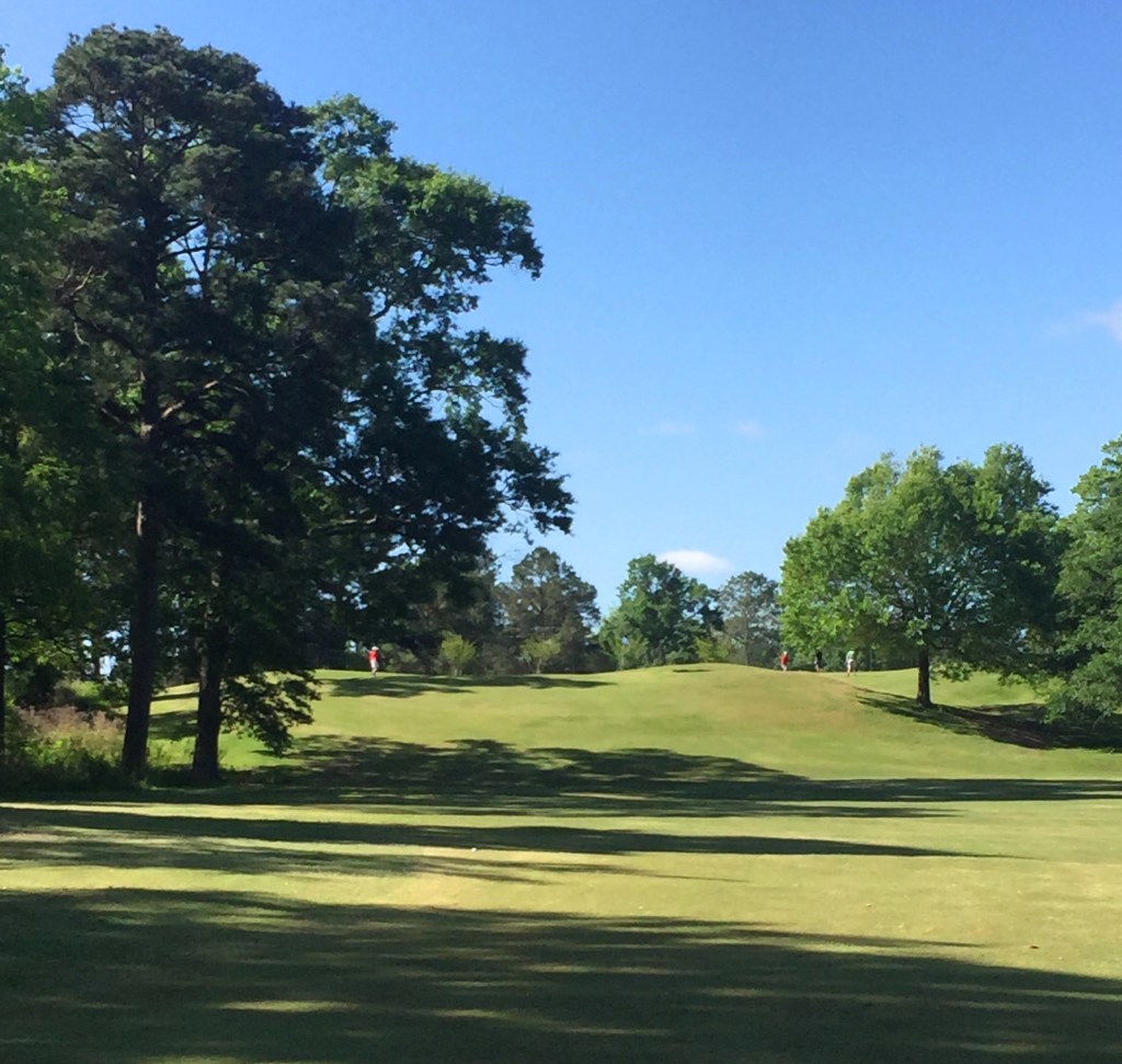 Review: Alexandria Golf & Country Club – Worldgolfer's Golf Course Reviews