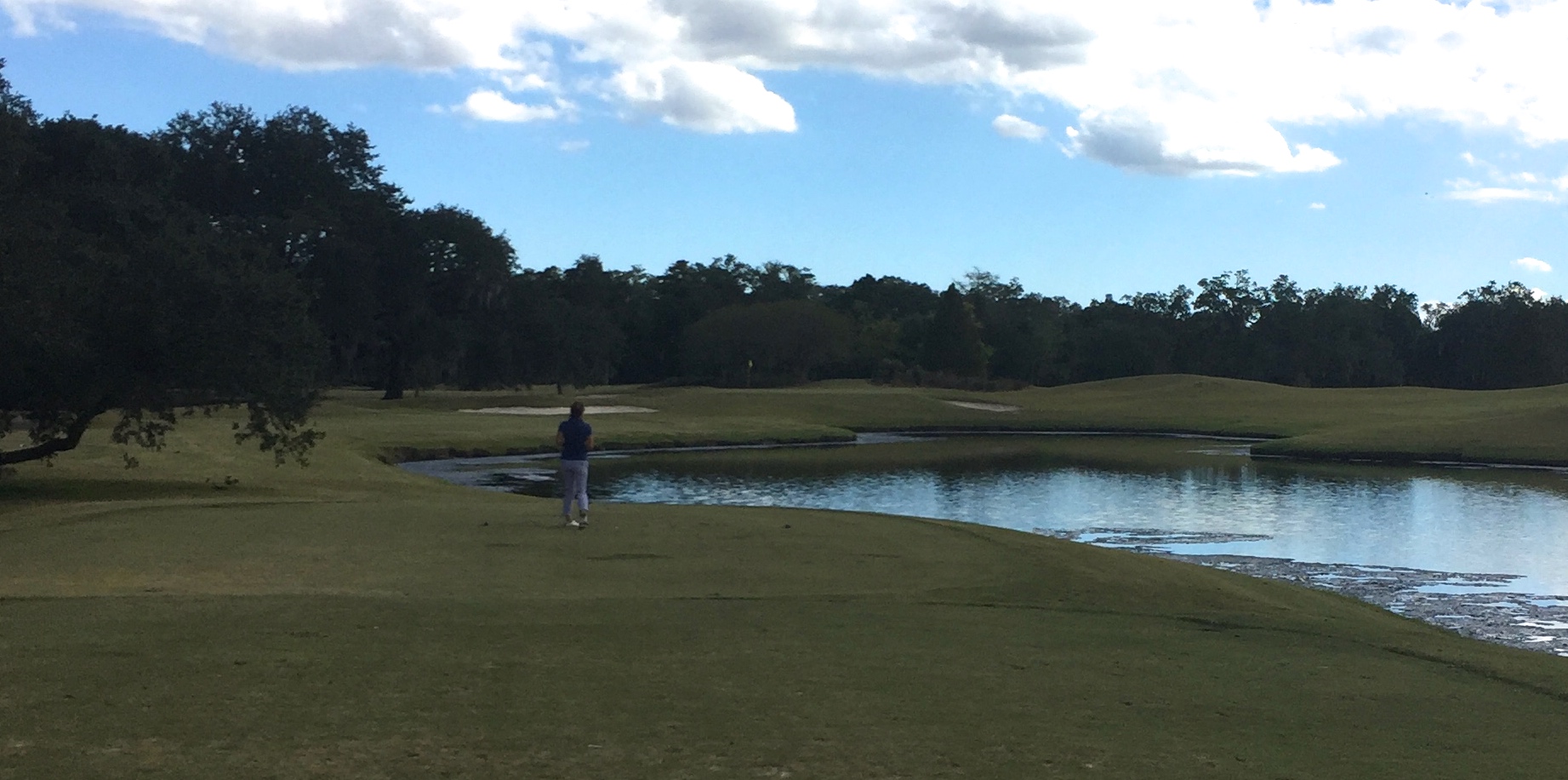 Review: Audubon Park Golf Course – Worldgolfer's Golf Course Reviews