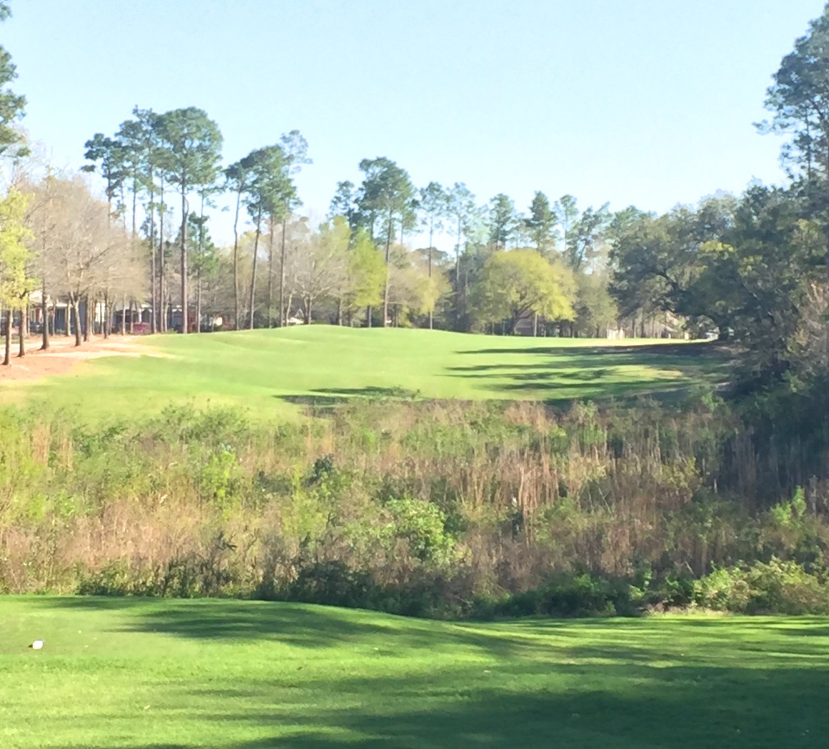 Review: The Oaks Golf Club – Worldgolfer's Golf Course Reviews