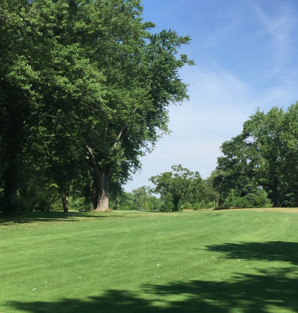 Review: Firefly Golf Course – Worldgolfer's Golf Course Reviews