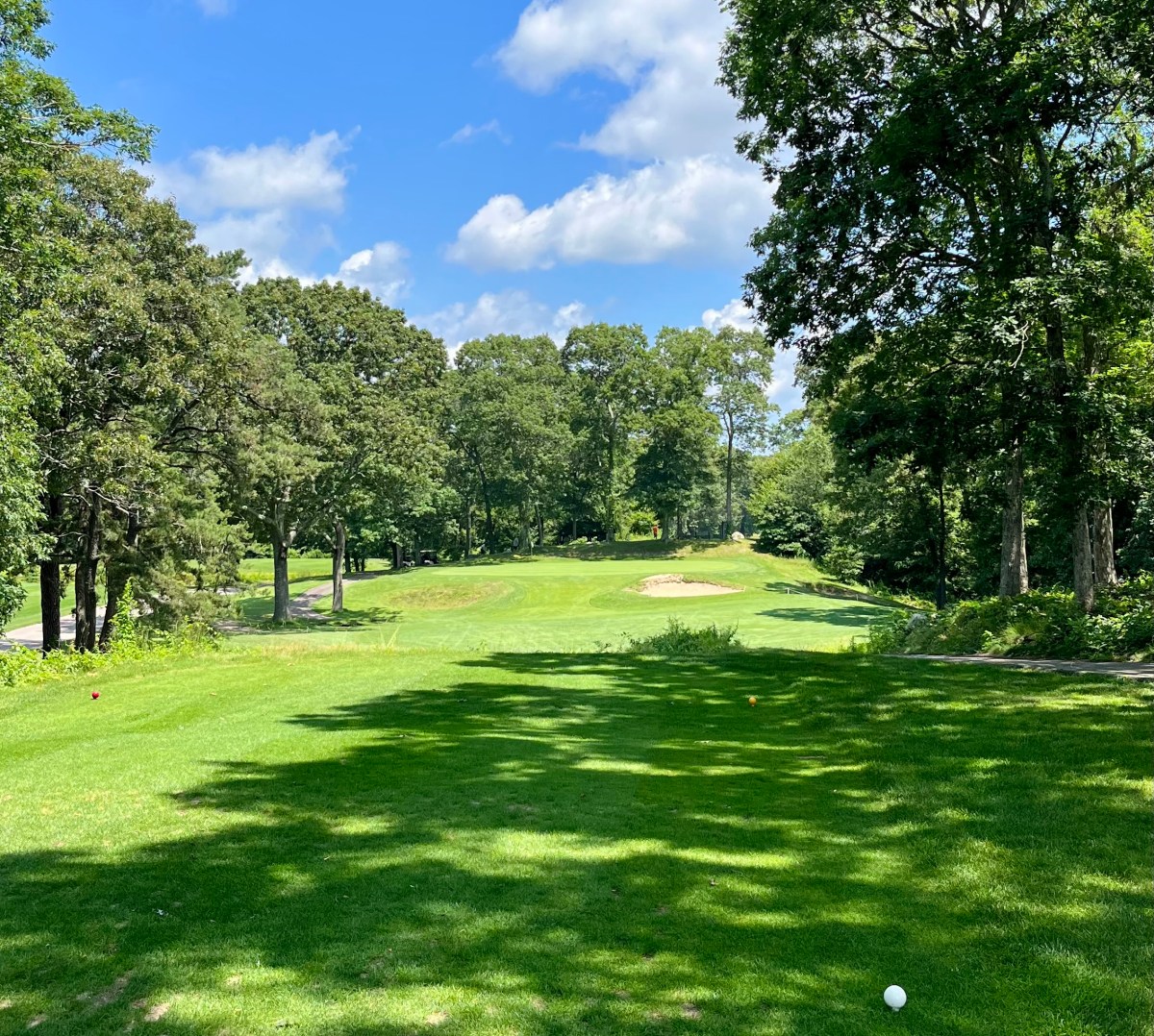 Review: Laurel Lane Country Club – Worldgolfer's Golf Course Reviews