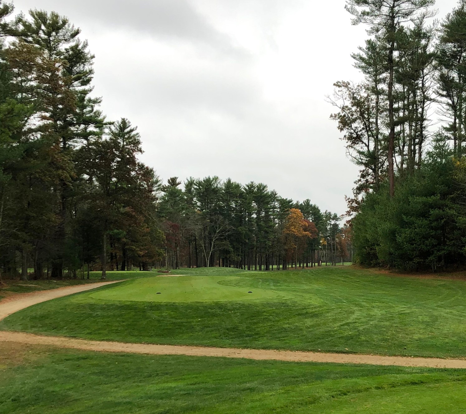 Review: Meadow Brook Golf Club – Worldgolfer's Golf Course Reviews