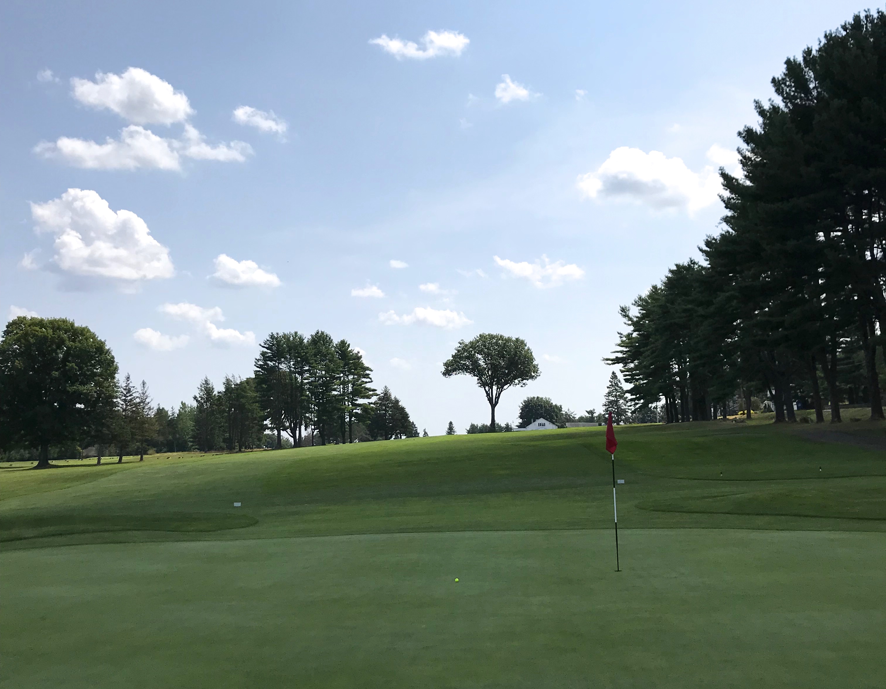 Review: Midville Golf Club – Worldgolfer's Golf Course Reviews