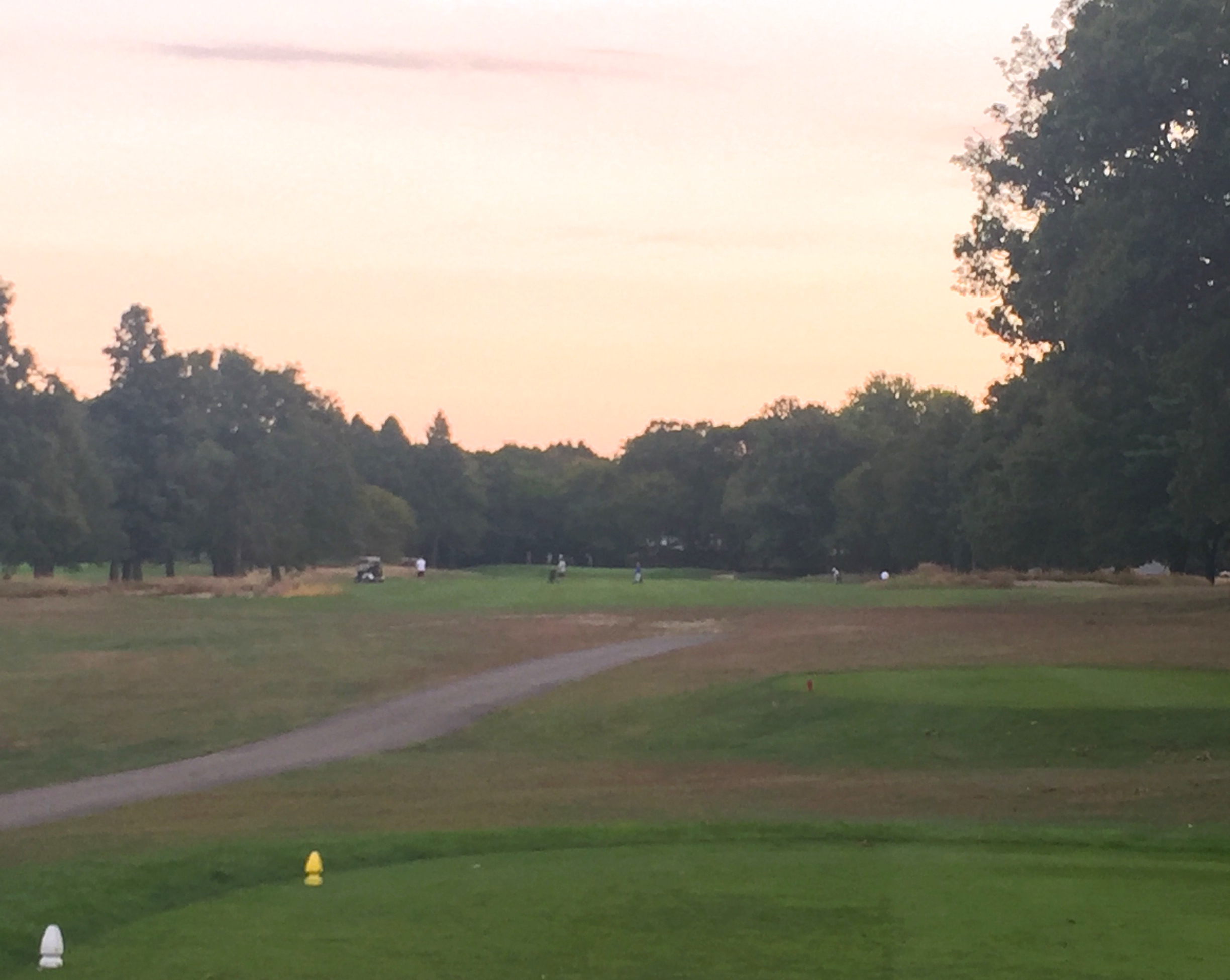 Review: Triggs Memorial Golf Course – Worldgolfer's Golf Course Reviews