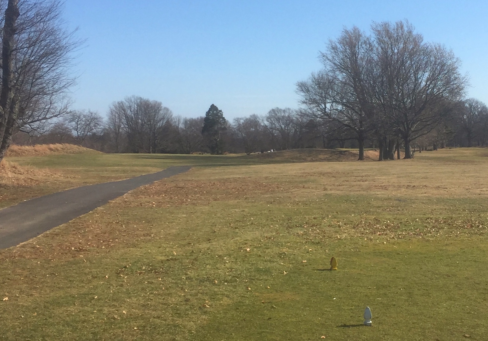 Review: Triggs Memorial Golf Course – Worldgolfer's Golf Course Reviews