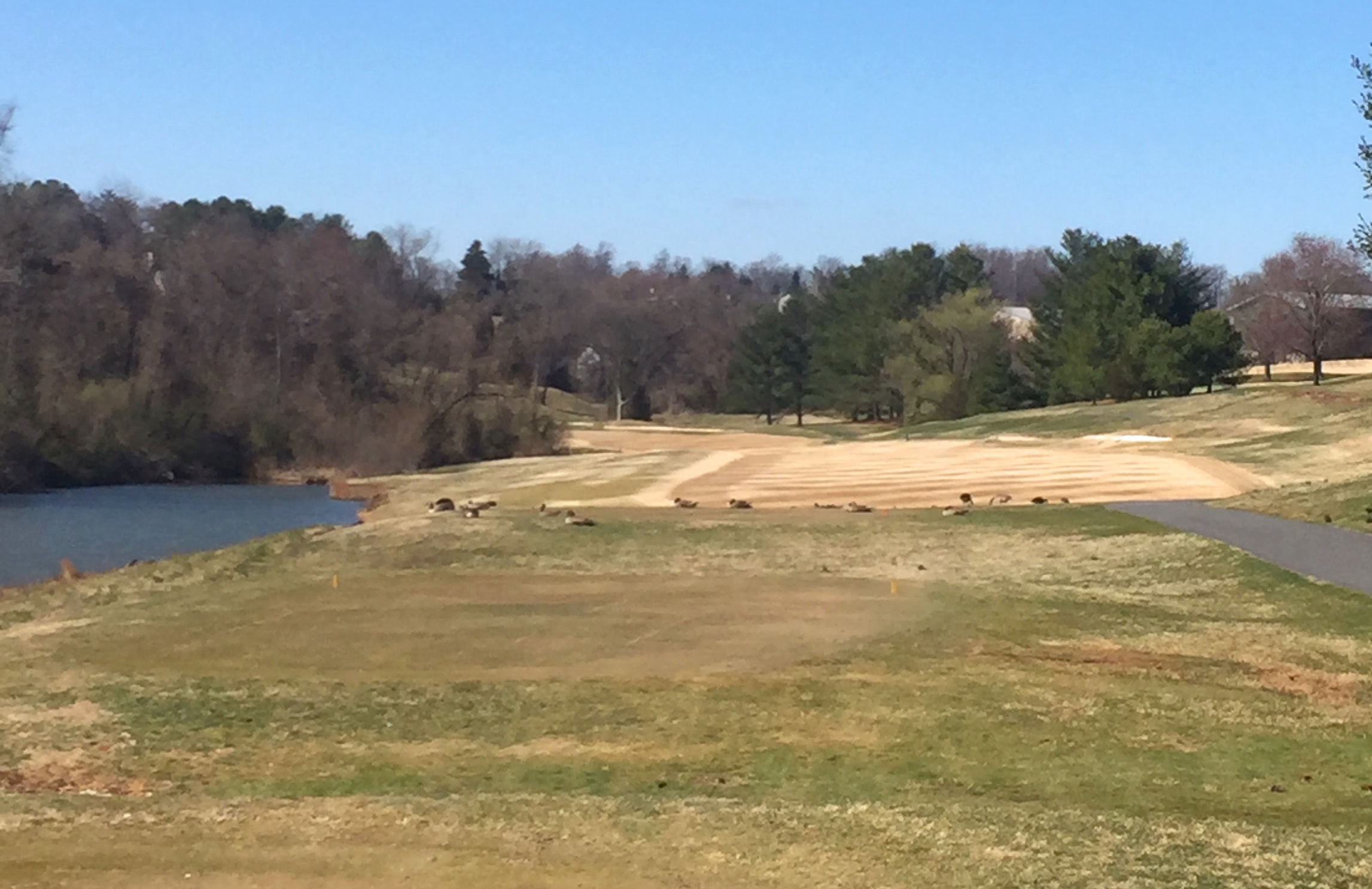 Review: Birdwood Golf Course – Worldgolfer's Golf Course Reviews