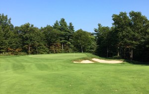 Review: Red Tail Golf Club – Worldgolfer's Golf Course Reviews