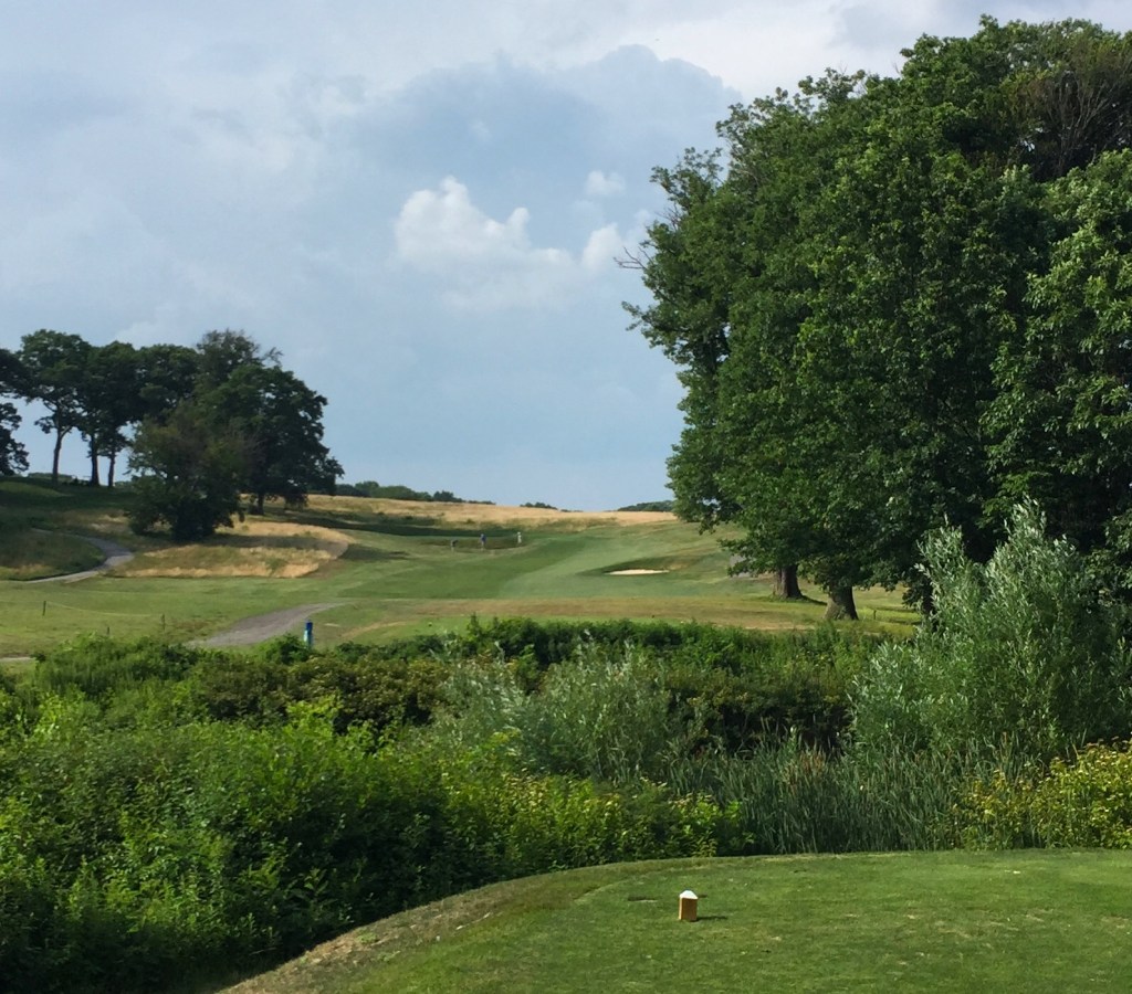 Review: The William J. Devine Golf Course at Franklin Park ...