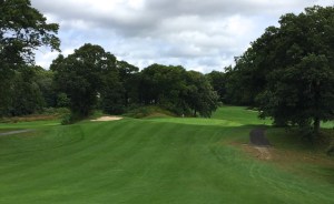 Review: George Wright Golf Course – Worldgolfer's Golf Course Reviews
