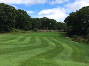 Review: George Wright Golf Course – Worldgolfer's Golf Course Reviews