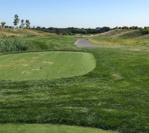 Review: Skyway Golf Course at Lincoln Park West – Worldgolfer's Golf ...