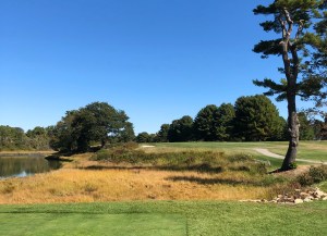 Review: Cape Arundel Golf Club – Worldgolfer's Golf Course Reviews