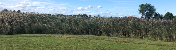 Review: Short Beach Golf Course – Worldgolfer's Golf Course Reviews