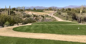 Review: We-Ko-Pa Golf Club (Saguaro Course) – Worldgolfer's Golf Course ...