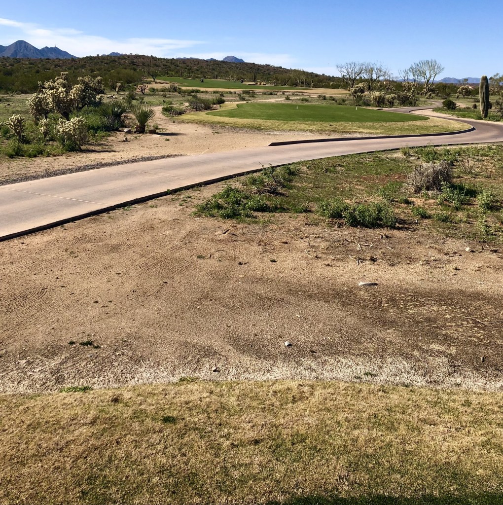 Review: We-Ko-Pa Golf Club (Saguaro Course) – Worldgolfer's Golf Course ...