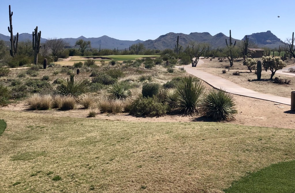 Review: We-Ko-Pa Golf Club (Saguaro Course) – Worldgolfer's Golf Course ...