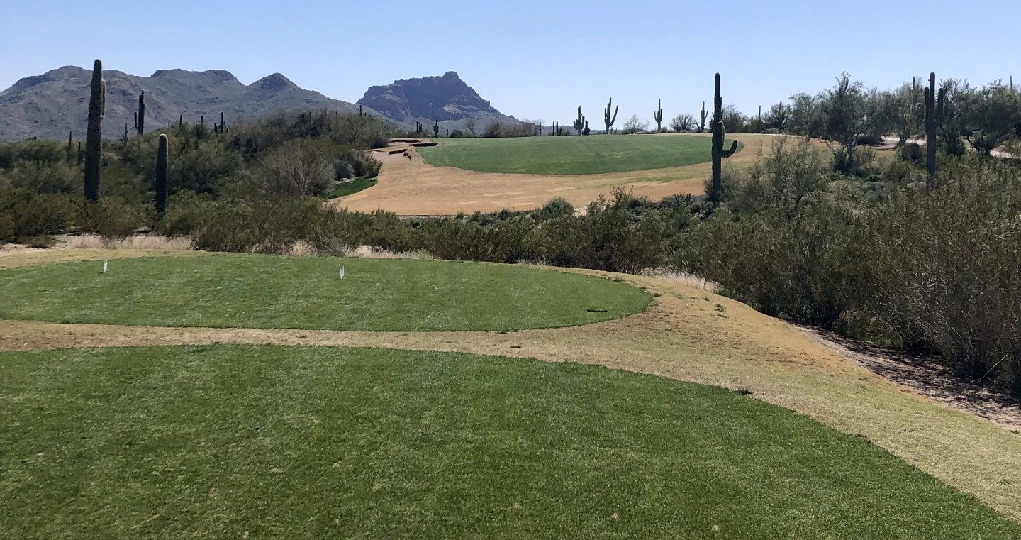 Review: We-Ko-Pa Golf Club (Saguaro Course) – Worldgolfer's Golf Course ...