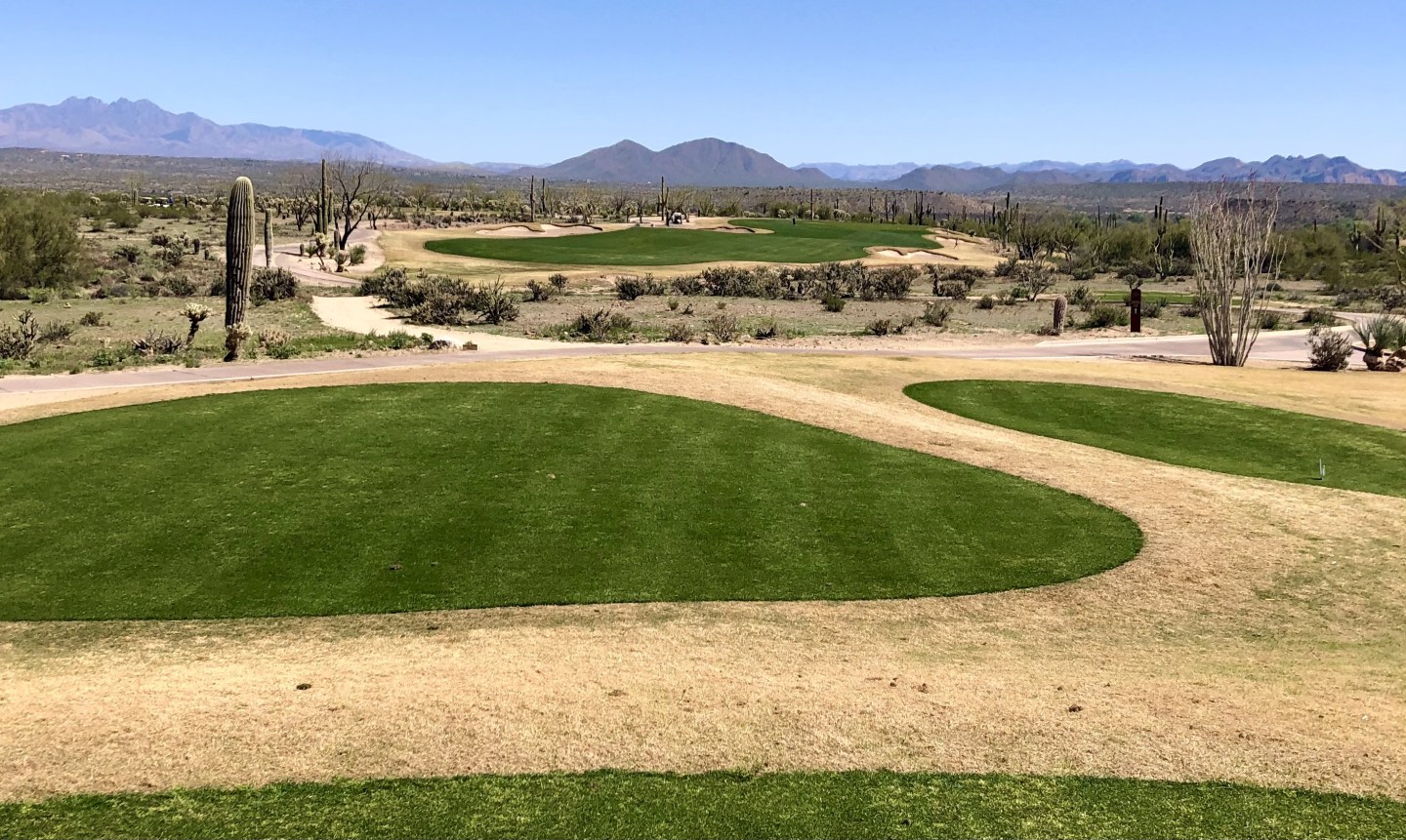 Review: We-Ko-Pa Golf Club (Saguaro Course) – Worldgolfer's Golf Course ...
