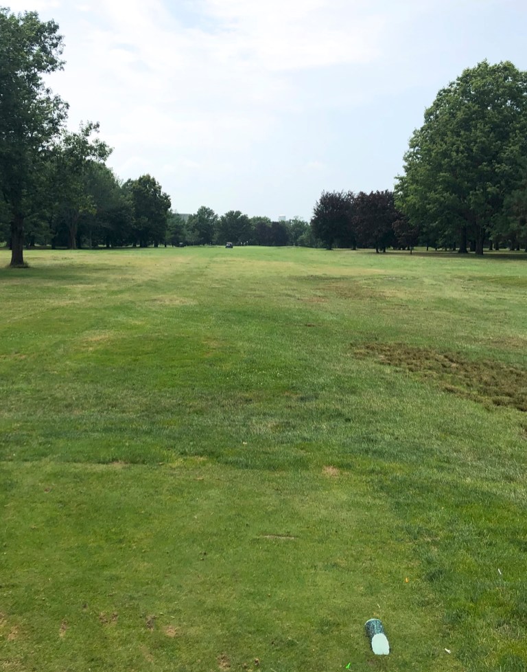 Review: Eisenhower Park Golf Course (Red Course) – Worldgolfer's Golf ...