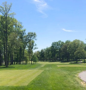 Review: Manor Country Club – Worldgolfer's Golf Course Reviews