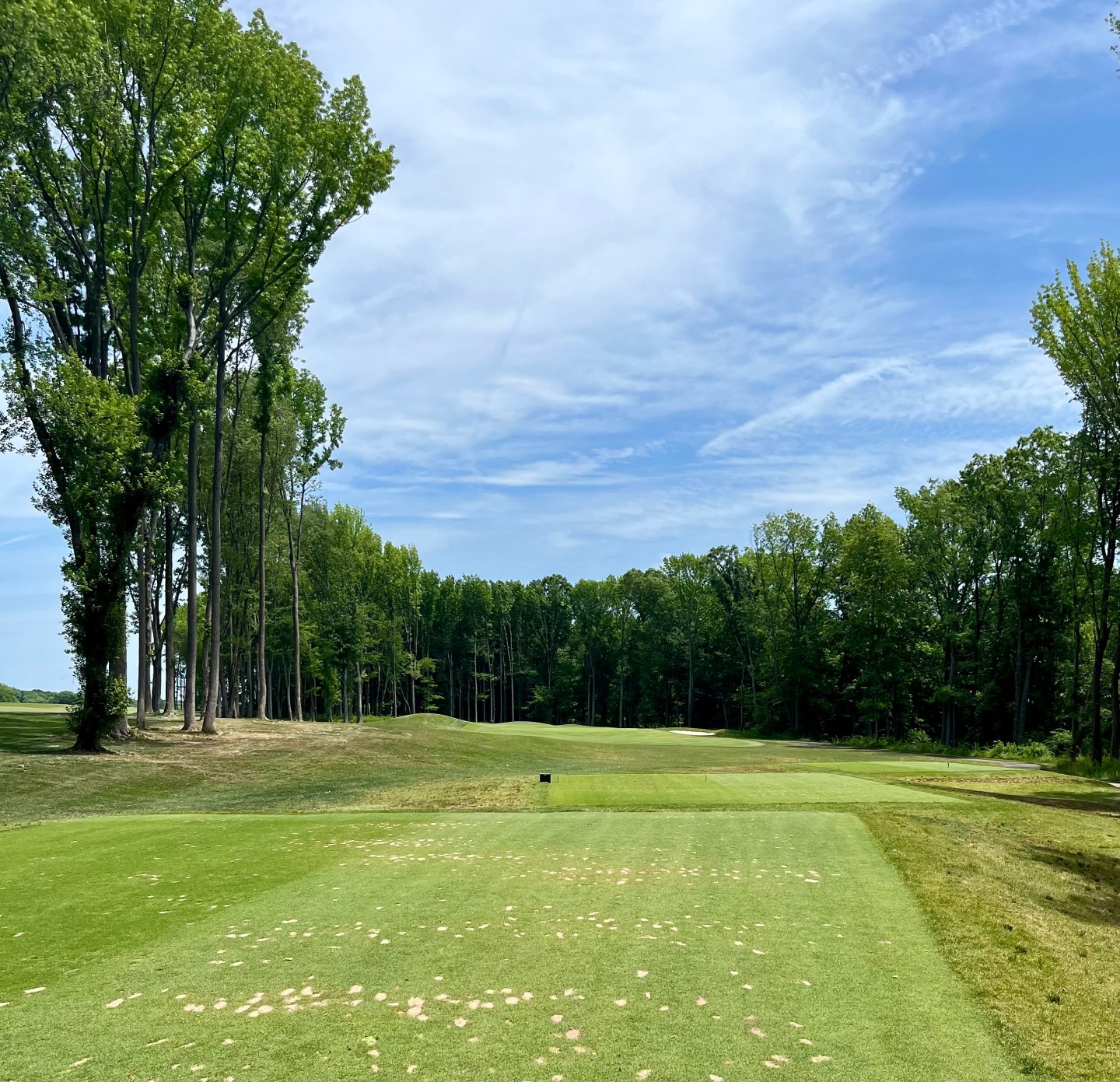 Review: Old Bridge Golf Club at Rose & Lambertson – Worldgolfer's Golf ...