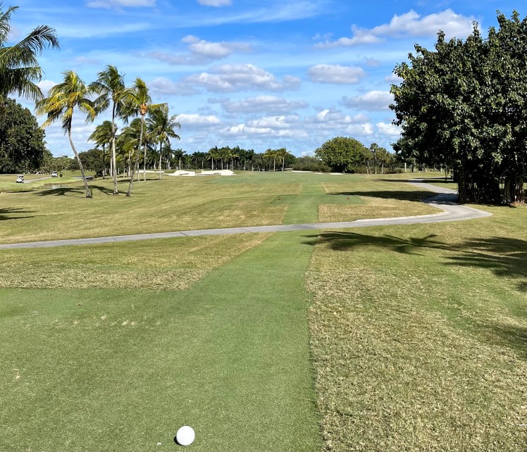 Review: Trump National Doral Golf Club (Blue Monster) – Worldgolfer's ...