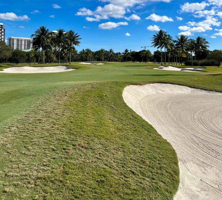 Review: Trump National Doral Golf Club (Blue Monster) – Worldgolfer's ...