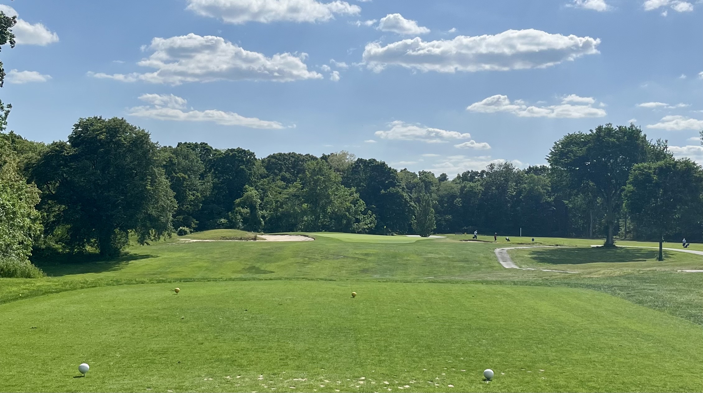 Review: Bethpage State Park (Yellow Course) – Worldgolfer's Golf Course ...