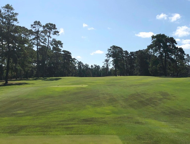 Review: Bluejack National – Worldgolfer's Golf Course Reviews