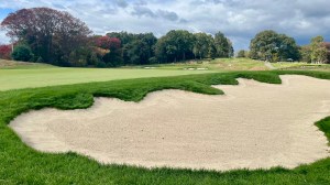 Review: Madison Country Club – Worldgolfer's Golf Course Reviews