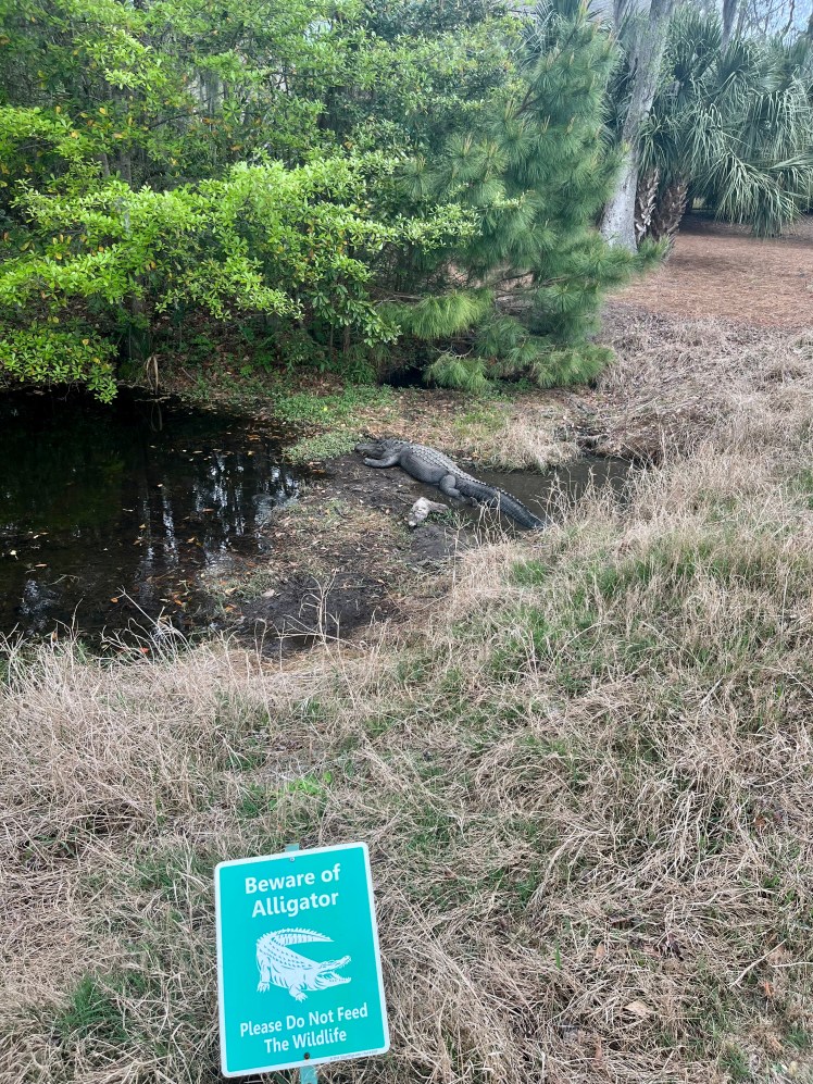 Review: Long Cove Club – Worldgolfer's Golf Course Reviews