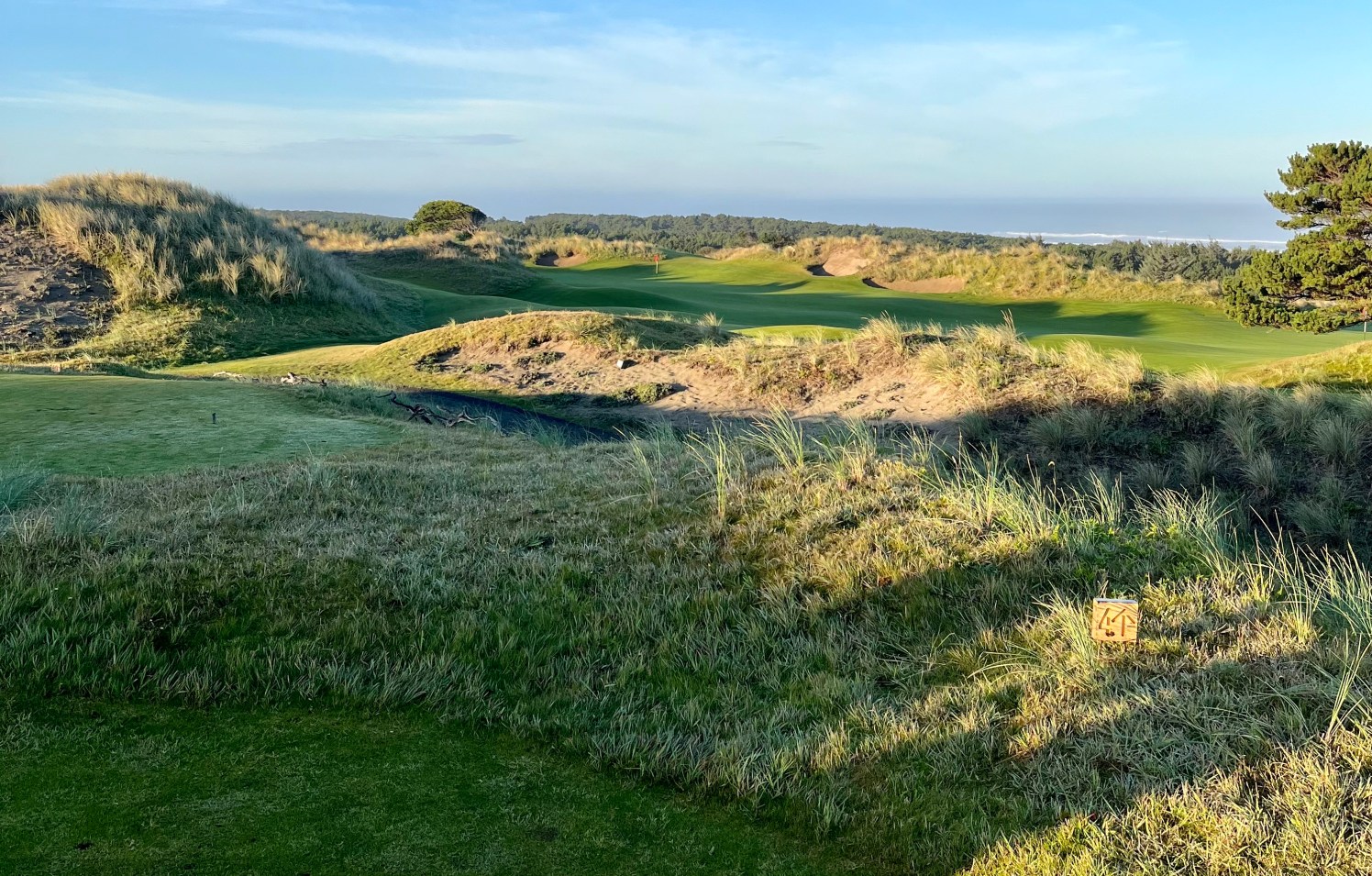 Review: Bandon Dunes Golf Resort (Bandon Preserve) – Worldgolfer's Golf ...